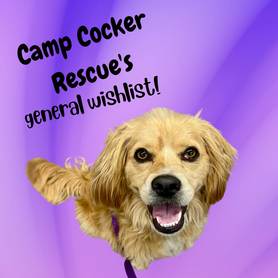 General Camp Cocker Doggie Wishlist – Camp Cocker Rescue