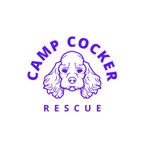 Camp Cocker Rescue - About Us - Dogs For Adoption